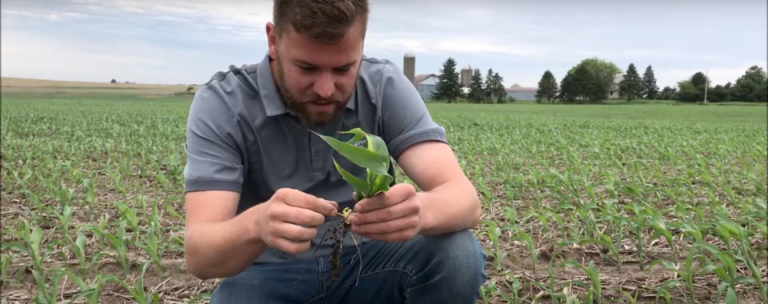 Cole the Cornstar: Day in the Life of a Bad Farmer - Champion Seed