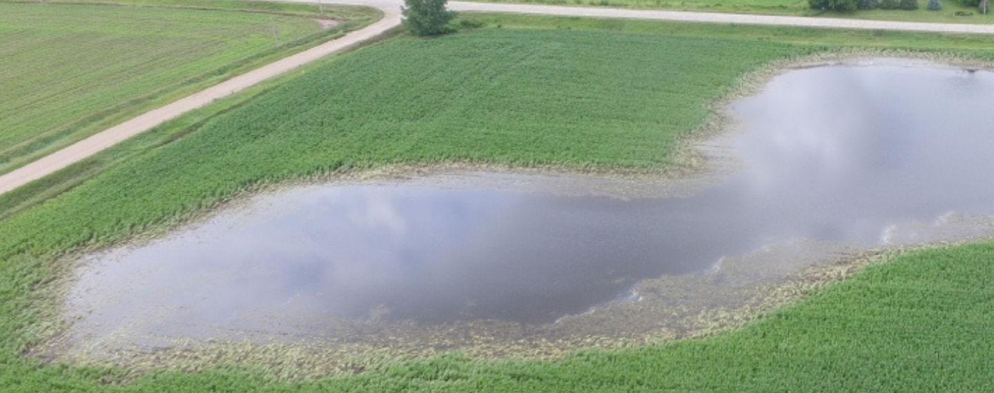 Don’t Let Poor Soil Drainage Sink Your Yields - Champion Seed